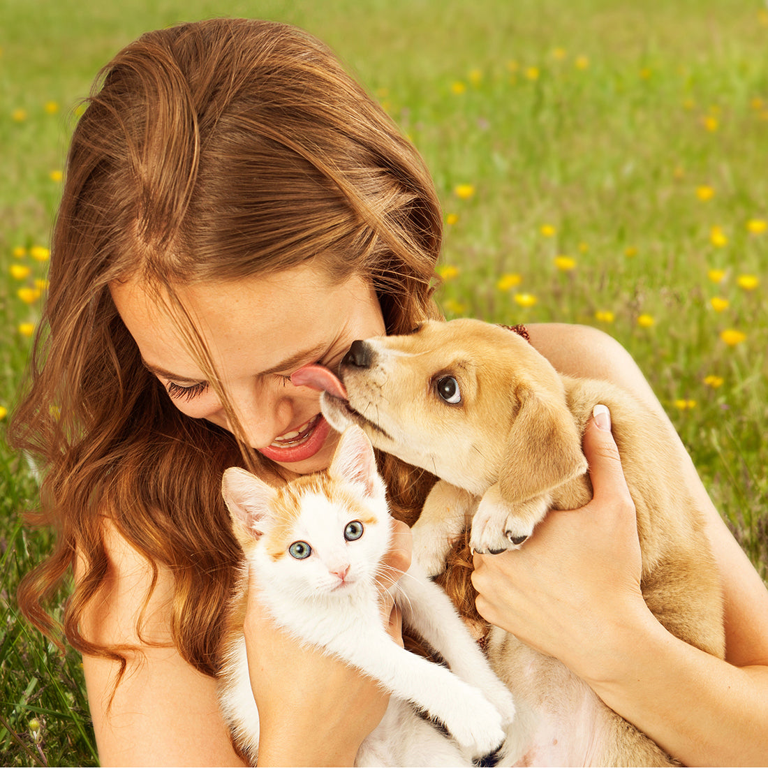 Premium Pet Care Products for Happy Pets – CBD BioCare